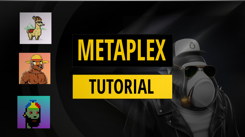 Metaplex Tutorial | How To Mint & Sell Solana NFT’s – JamesBachini.com